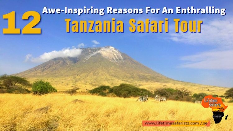 Tanzania Safari Tour | Lifetime Safaris