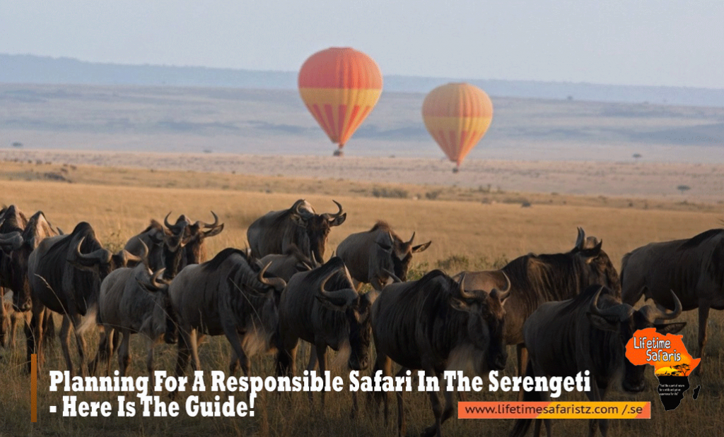 Planning For A Responsible Safari In The Serengeti – Here Is The Guide ...